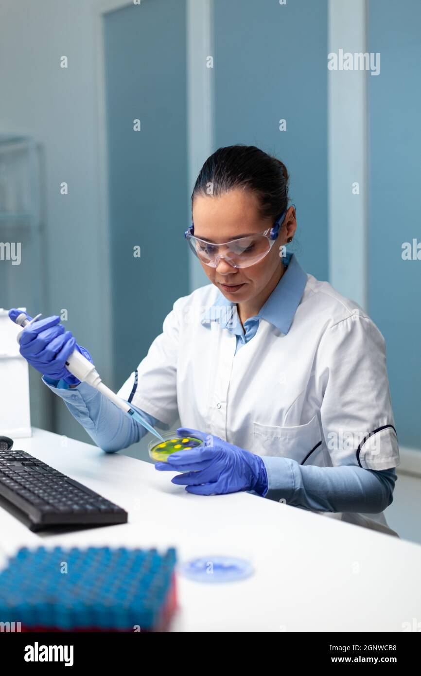 Biochemist researcher woman dropping liquid in petri dish with colony ...