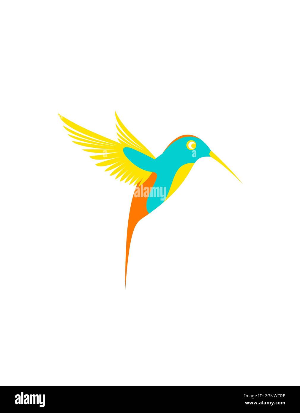 Beautiful cartoon birds parrot,dove,fauna,humming bird,black bird,blue ...