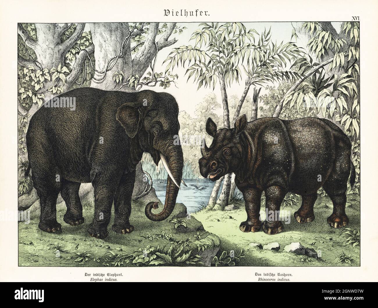 Indian kingdoms hi-res stock photography and images - Alamy