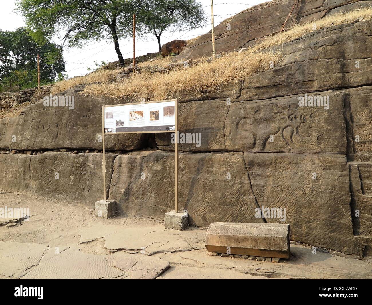 Sankha Lipi ("shell-script") inscriptions along passageway, Udayagiri ...