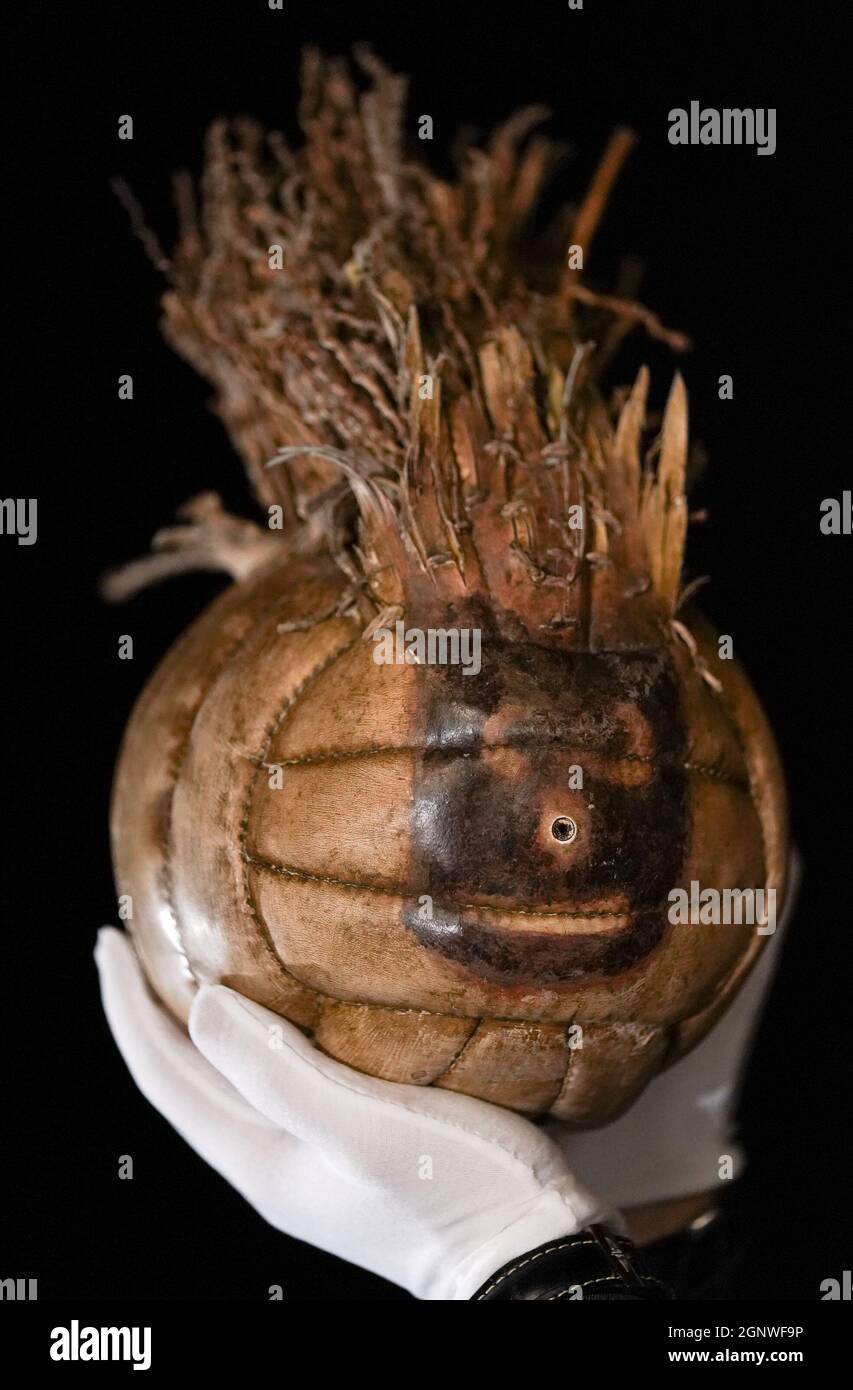 Castaway wilson hi-res stock photography and images - Alamy