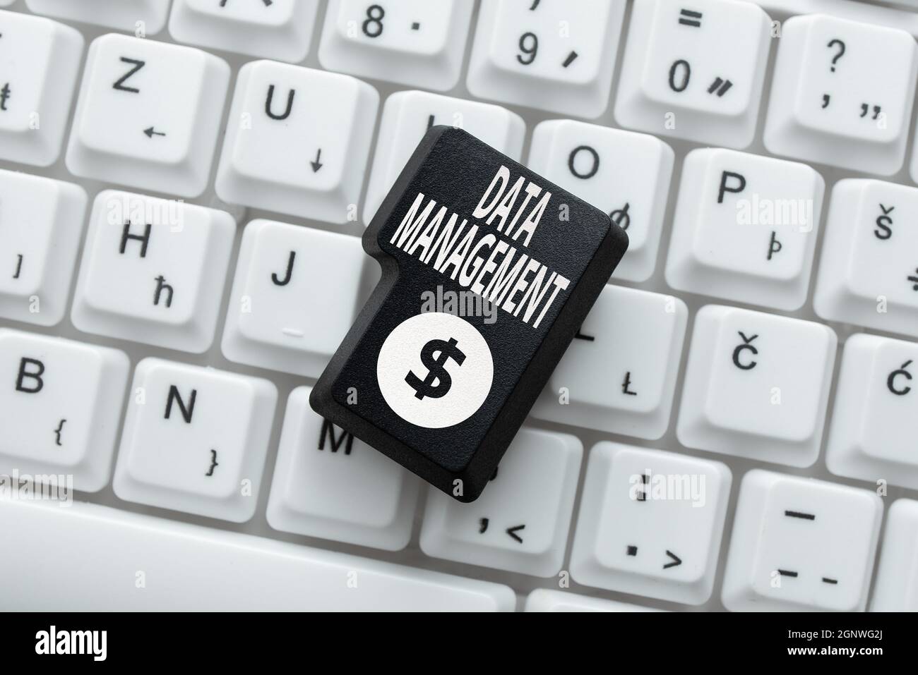 Writing displaying text Data Management. Business showcase The practice of organizing and ...