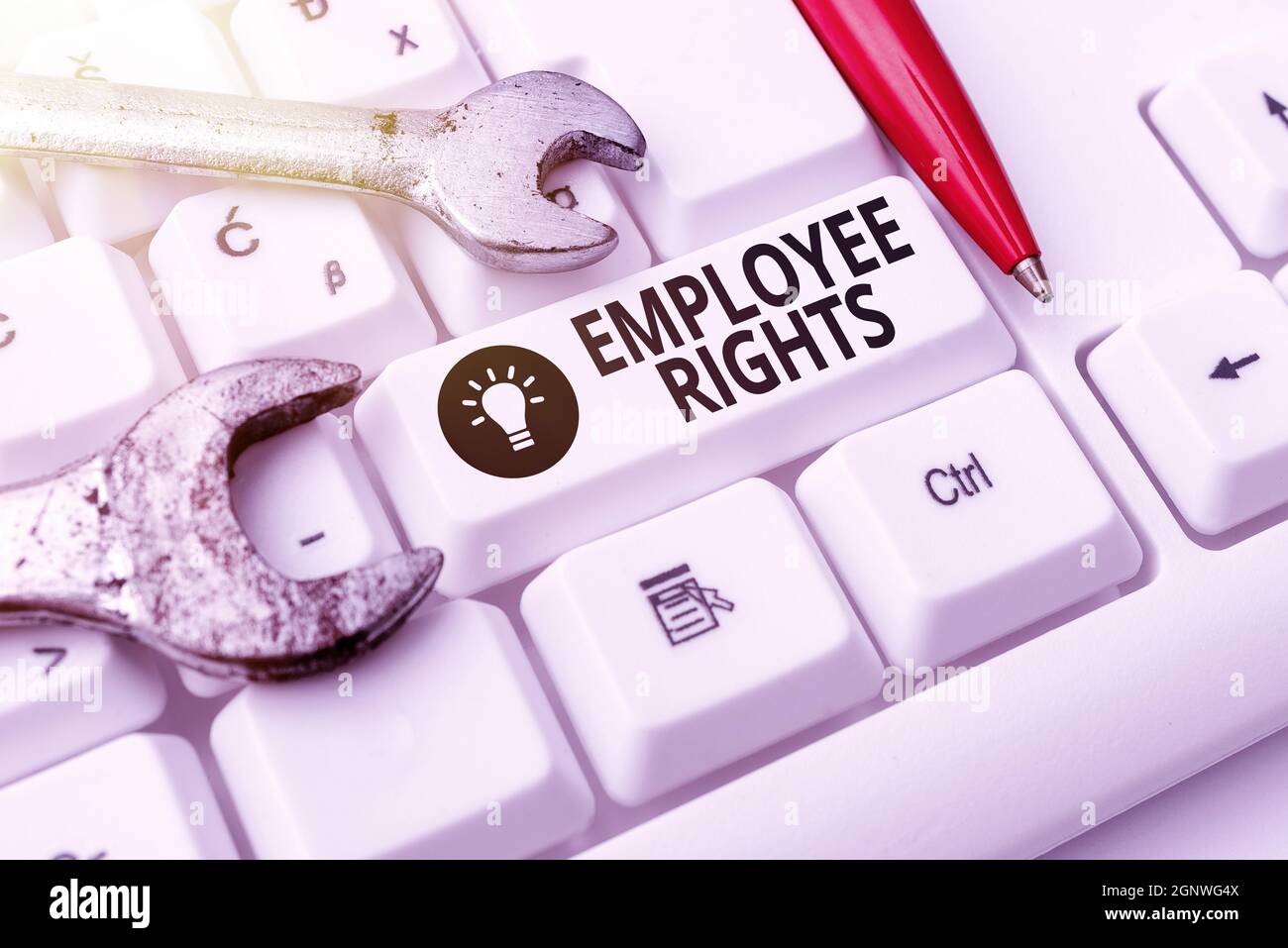 Hand writing sign Employee Rights. Business idea All employees have ...