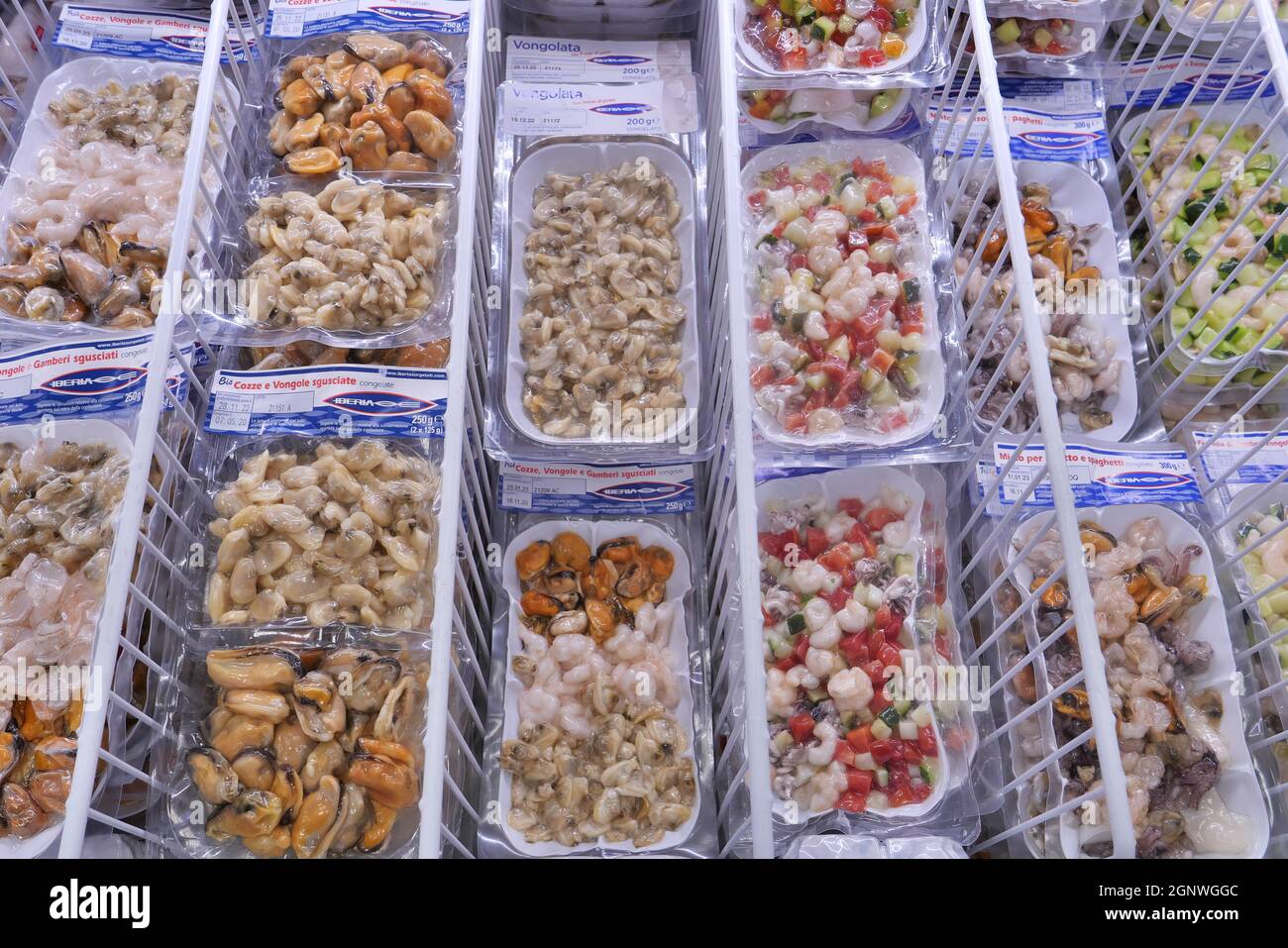 PLASTIC TRAYS FULL OF FROZEN SHELLED MOLLUSCS ON DISPLAY INSIDE THE ...