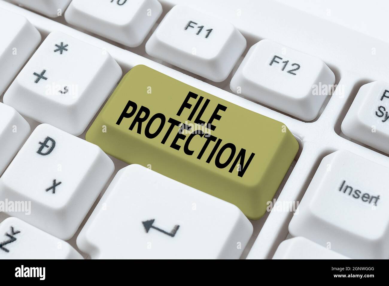 Text Caption Presenting File Protection Business Showcase Preventing