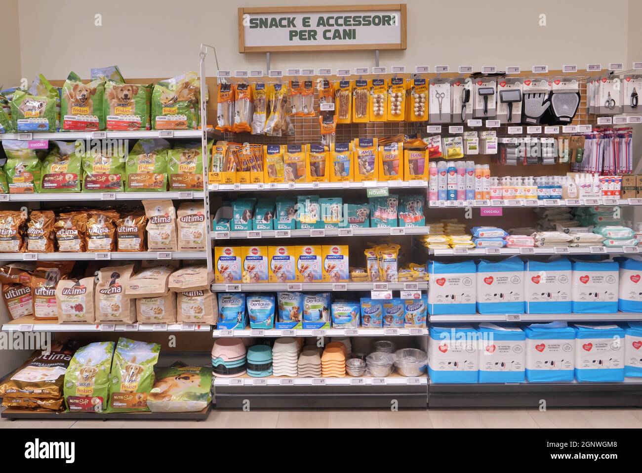 A SHELF FULL OF DOG SNACK AND ACCESSORIES INSIDE THE FOOD MEGA STORE ...