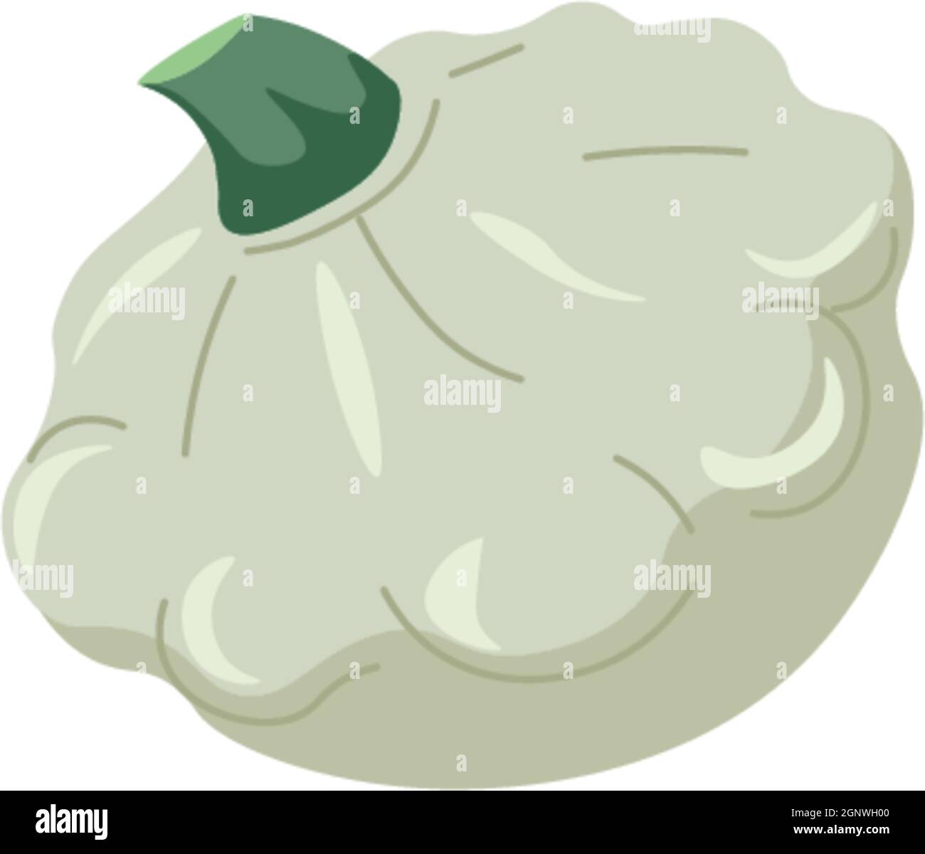 Small squash Stock Vector Images - Alamy