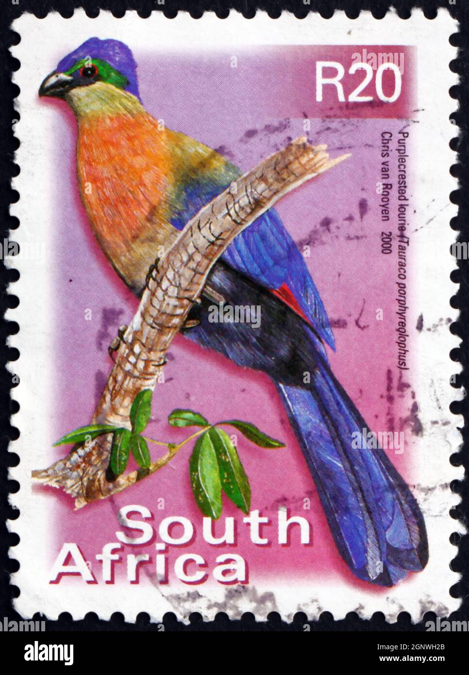 SOUTH AFRICA - CIRCA 2000: a stamp printed in South Africa shows Purple ...
