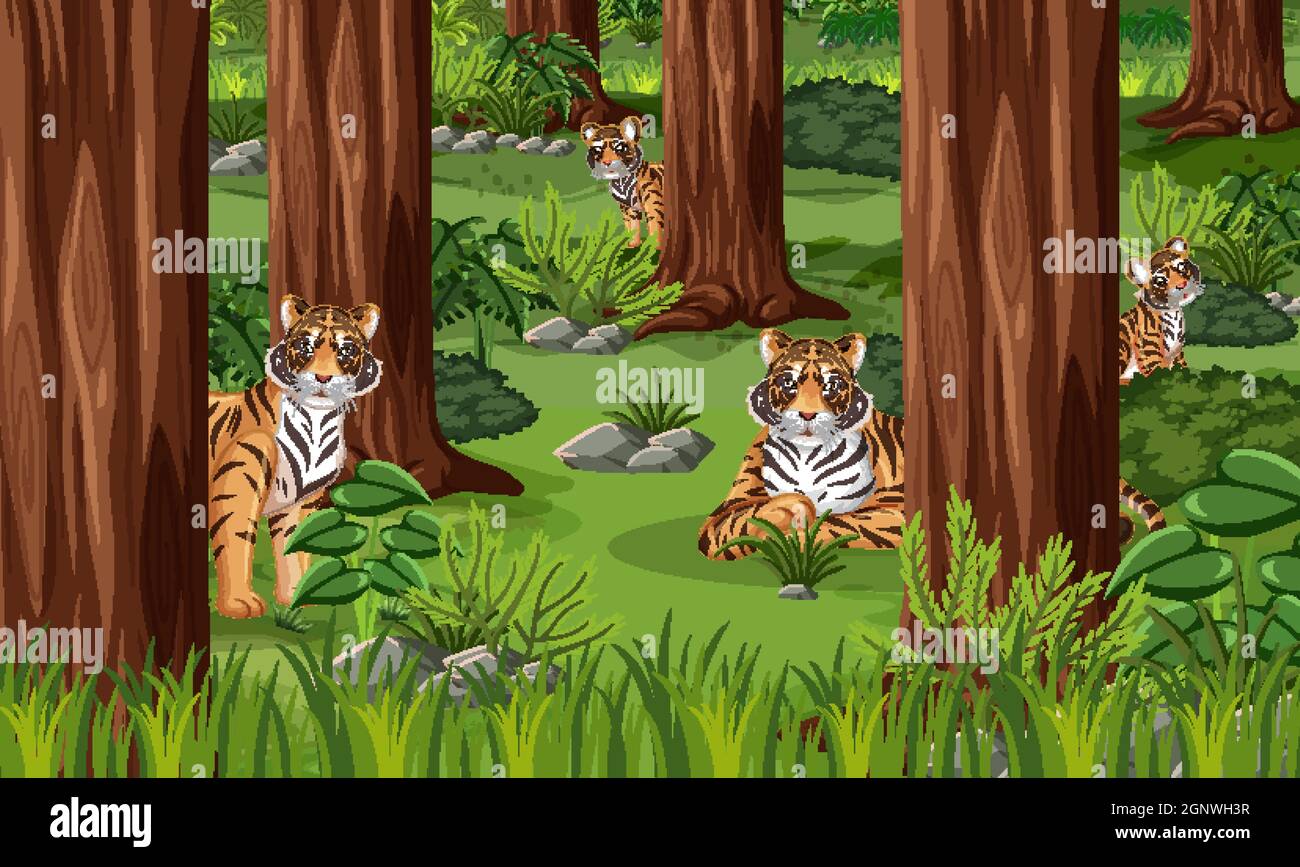 Tiger family in forest landscape background illustration Stock Vector Image & Art - Alamy