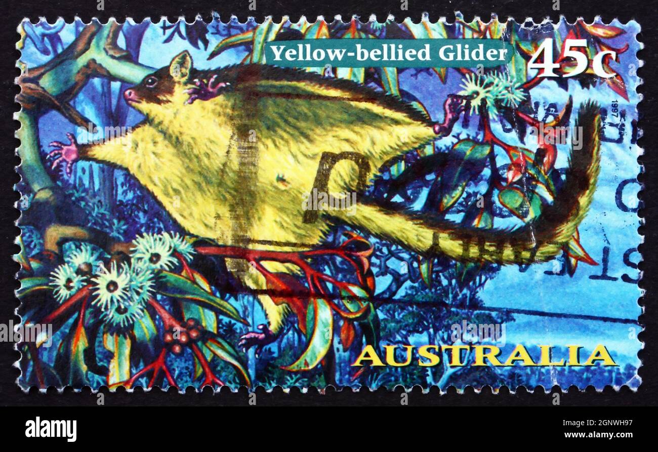 AUSTRALIA - CIRCA 1997: a stamp printed in the Australia shows Yellow ...