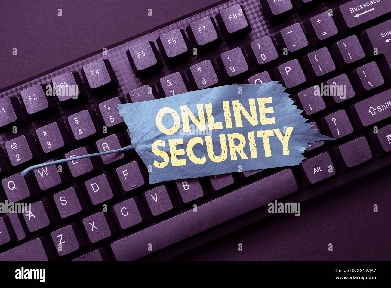 Inspiration Showing Sign Online Security Word Written On Rules To