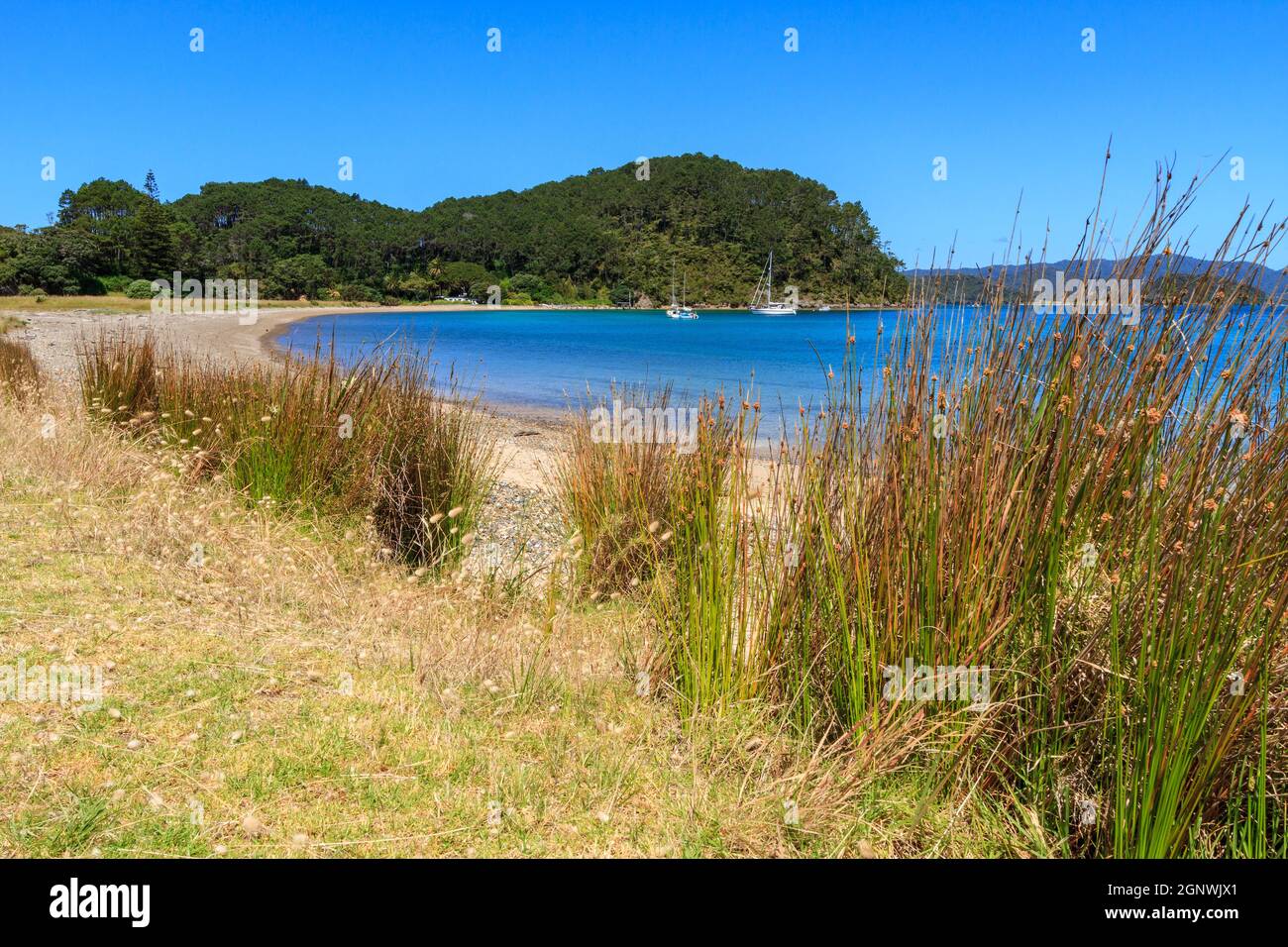 Roberton island new zealand hi-res stock photography and images - Alamy