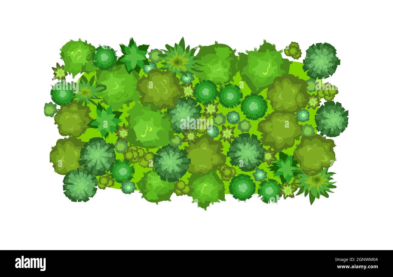 Small forest with height. Park with trees. View from above. Plant ...