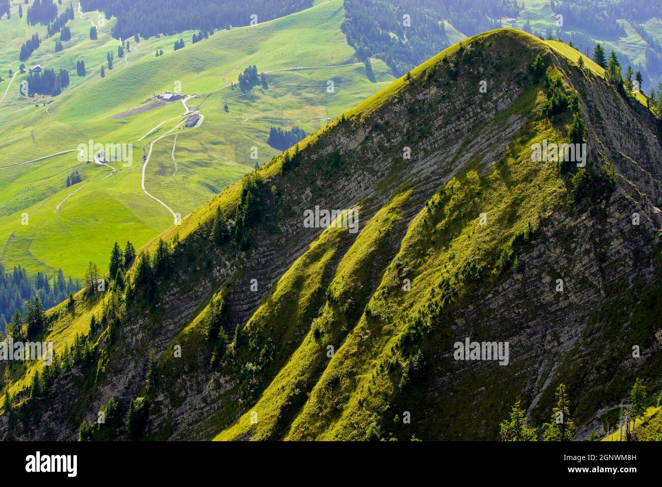 Elevated view of alpine landscape Dallenwil, Wolfenschiessen, Canton of ...