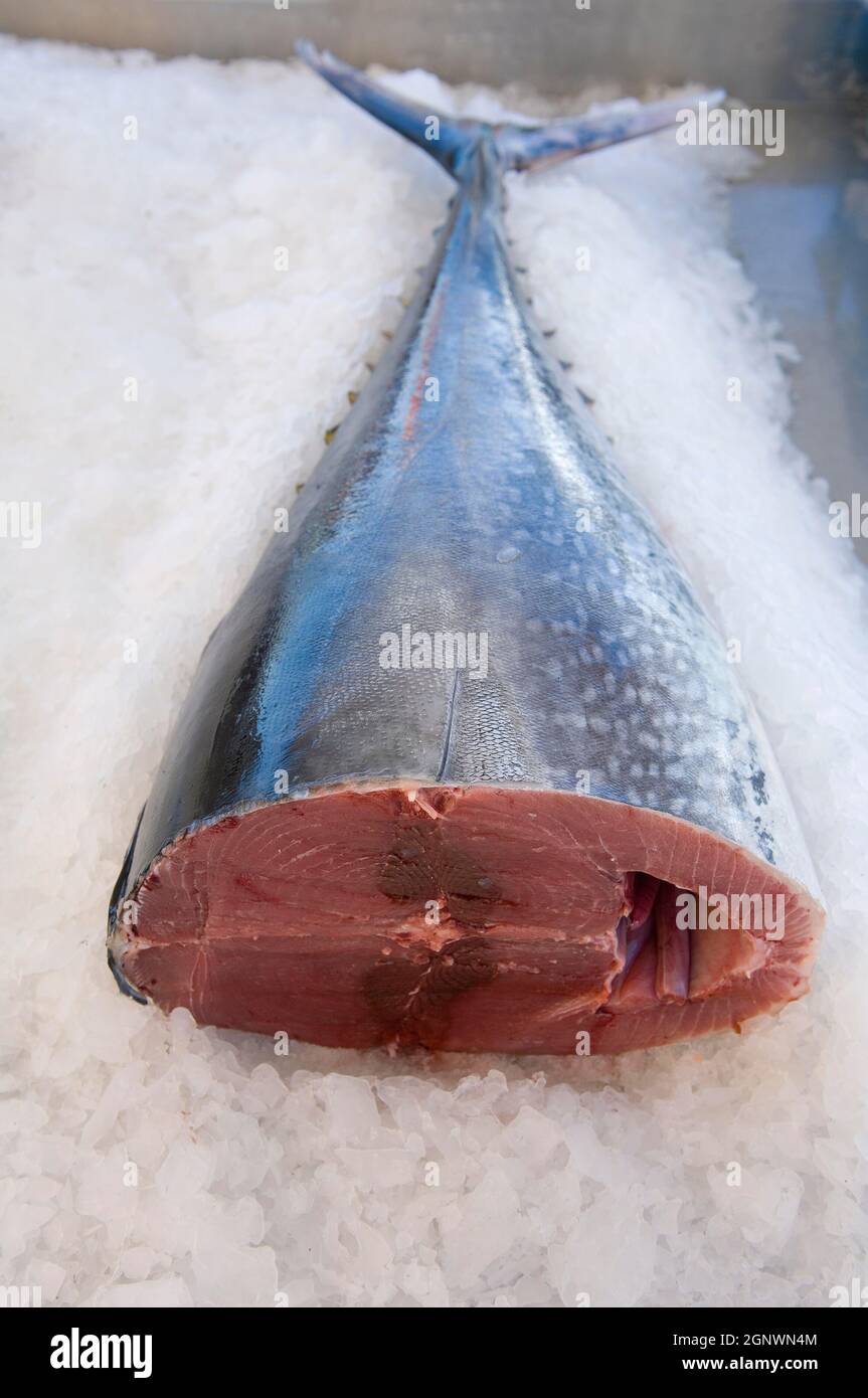 Detail of half a Tuna fish caught with a line at Sanary sur Mer fish ...