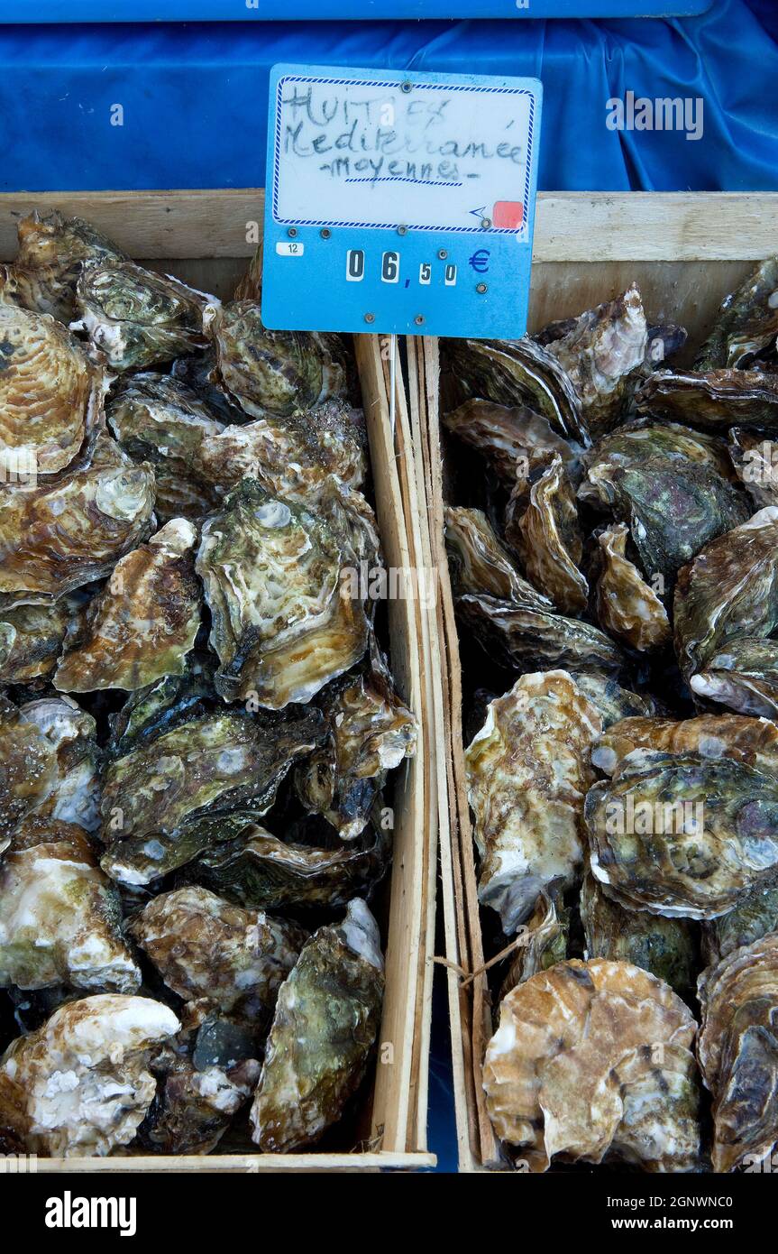 Fresh oysters at Sanary sur Mer fish market, South of France, Credit ...