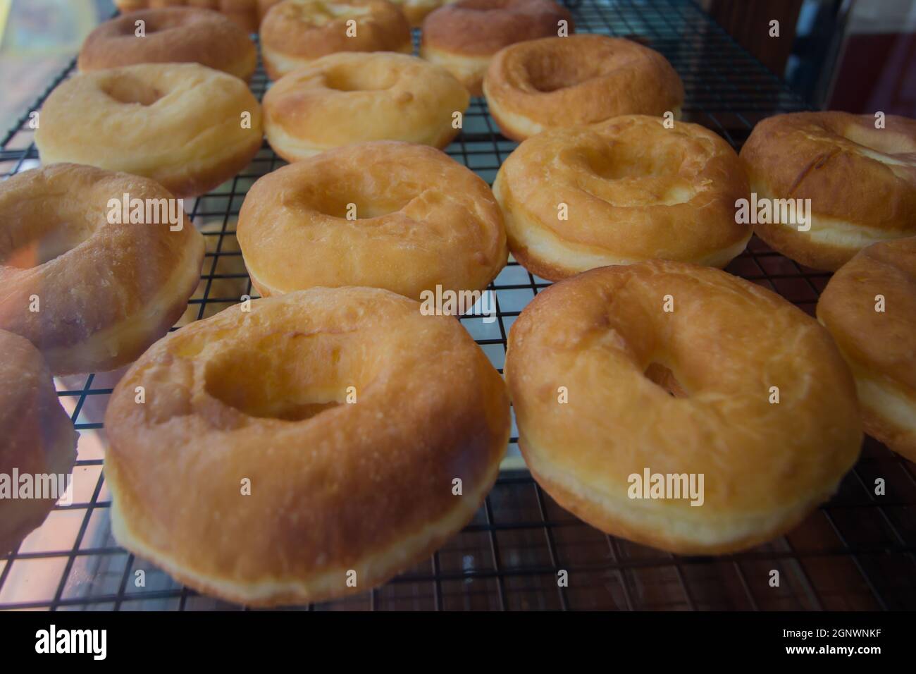 fresh uncoated donuts in display tray Stock Photo - Alamy