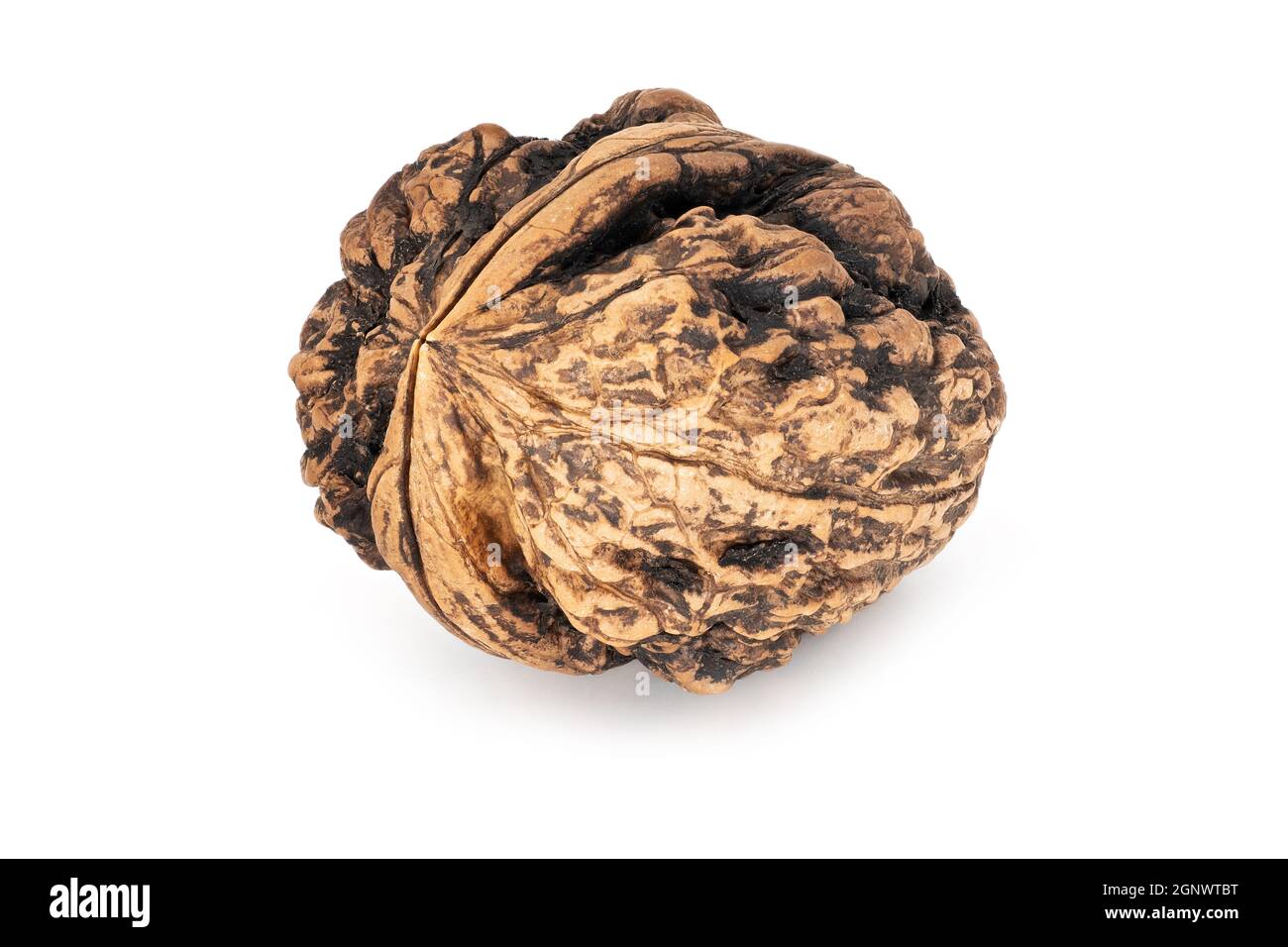 Walnut Close Up, isolated fruit on white background Stock Photo - Alamy