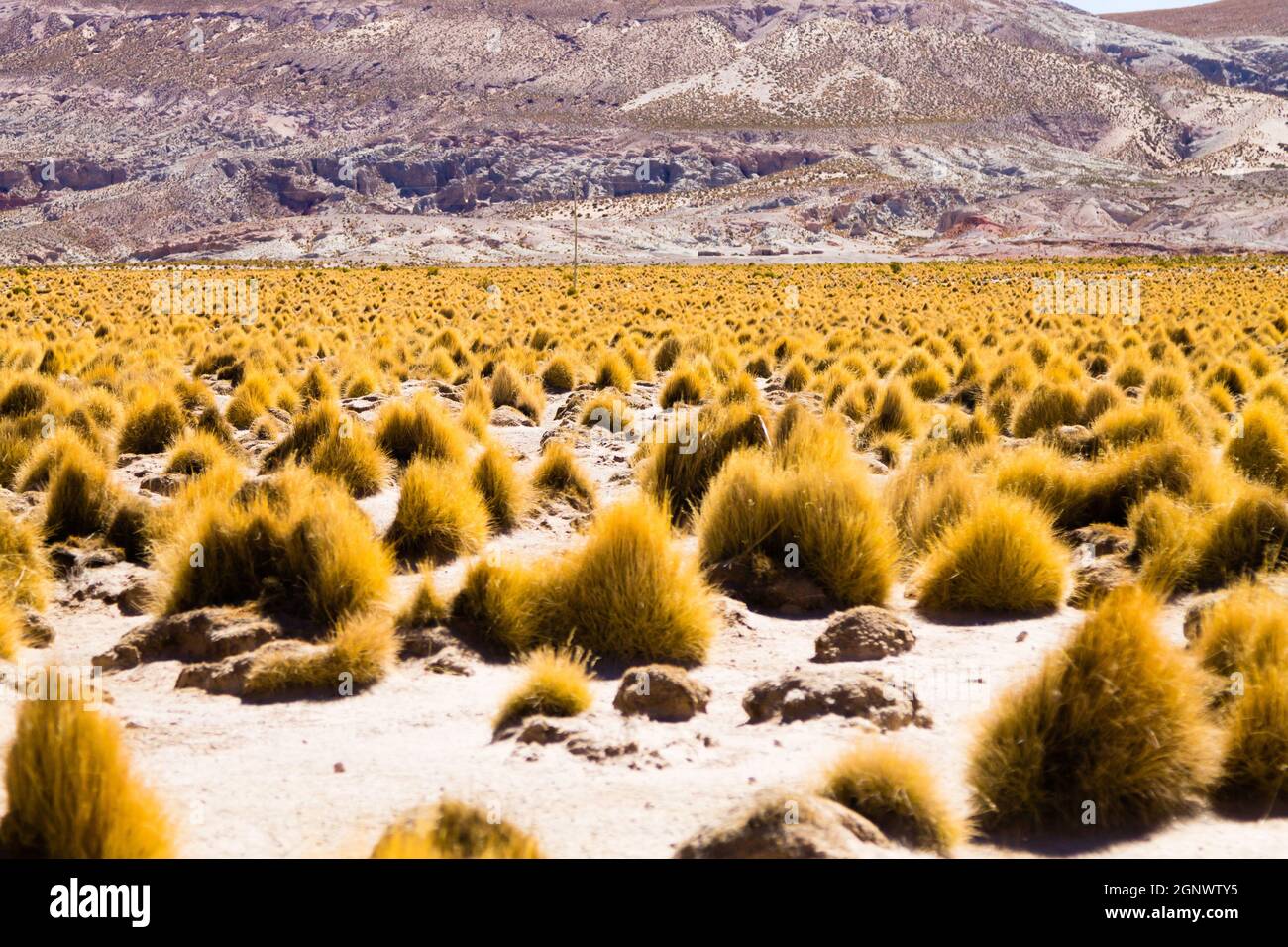 Bolivian mountains landscape,Bolivia.Andean plateau view Stock Photo ...