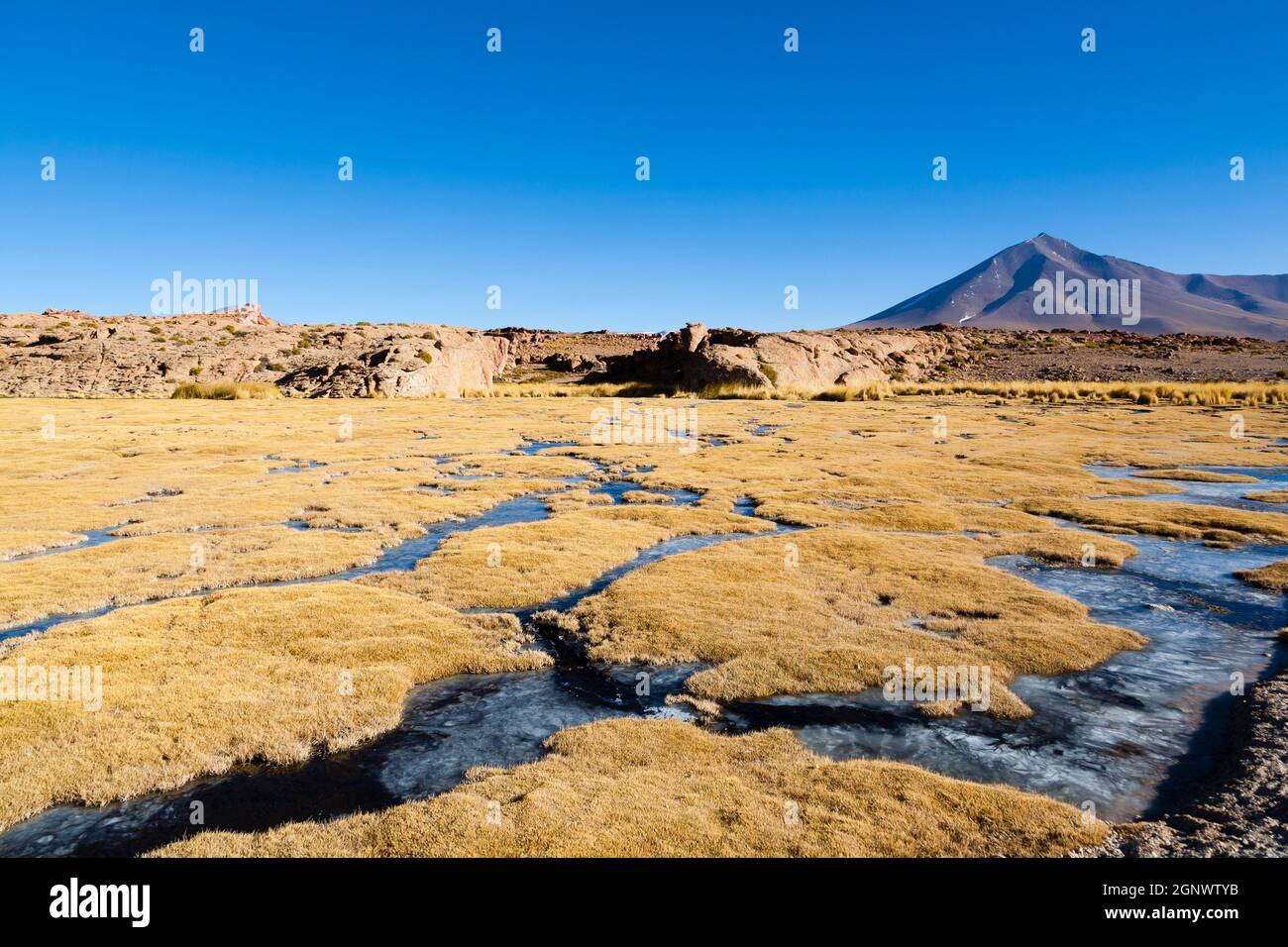 Beautiful bolivian landscape,Bolivia. Lakes and associated wetlands ...
