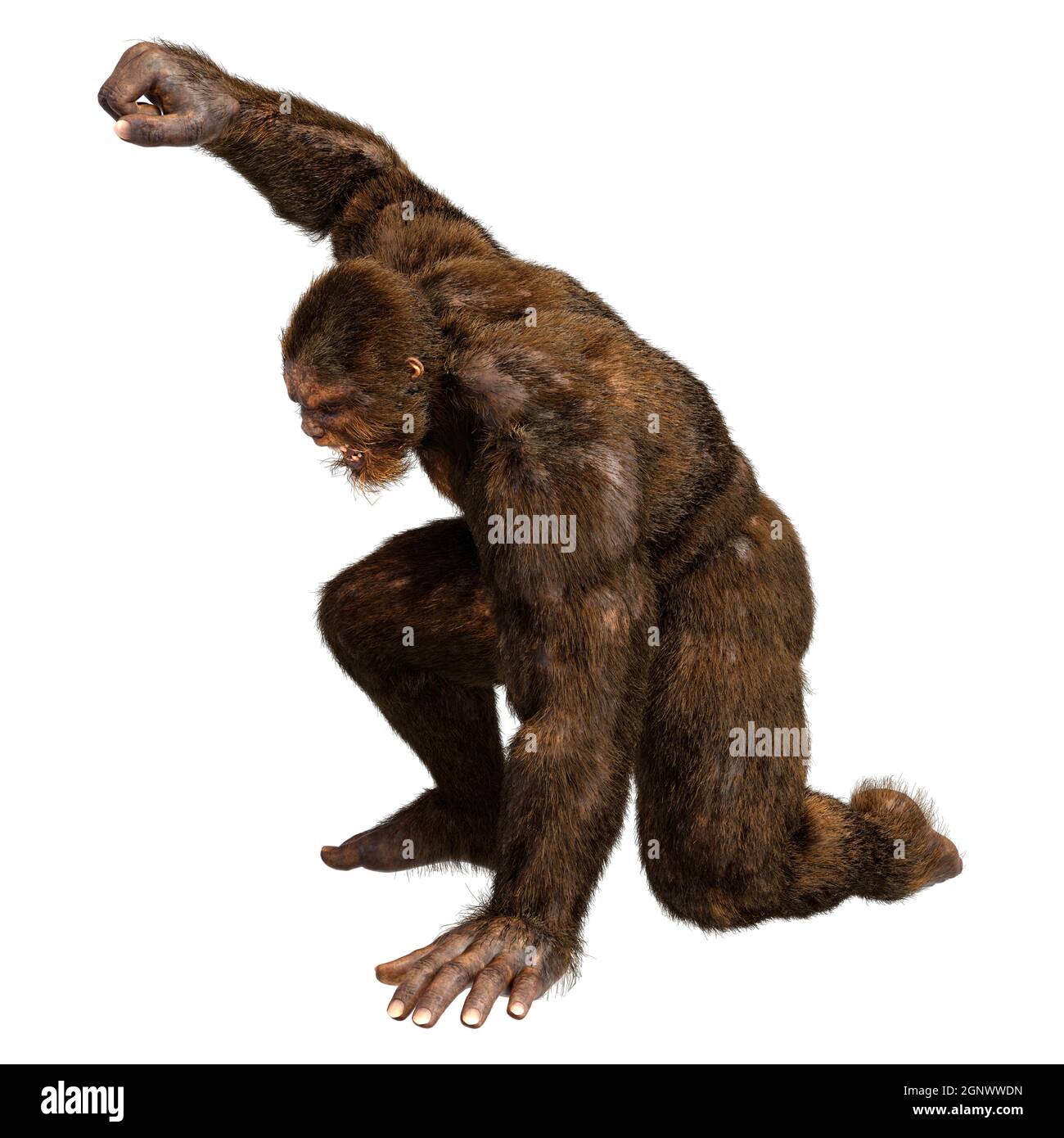 3D rendering of a Sasquatch or Bigfoot isolated on white background ...