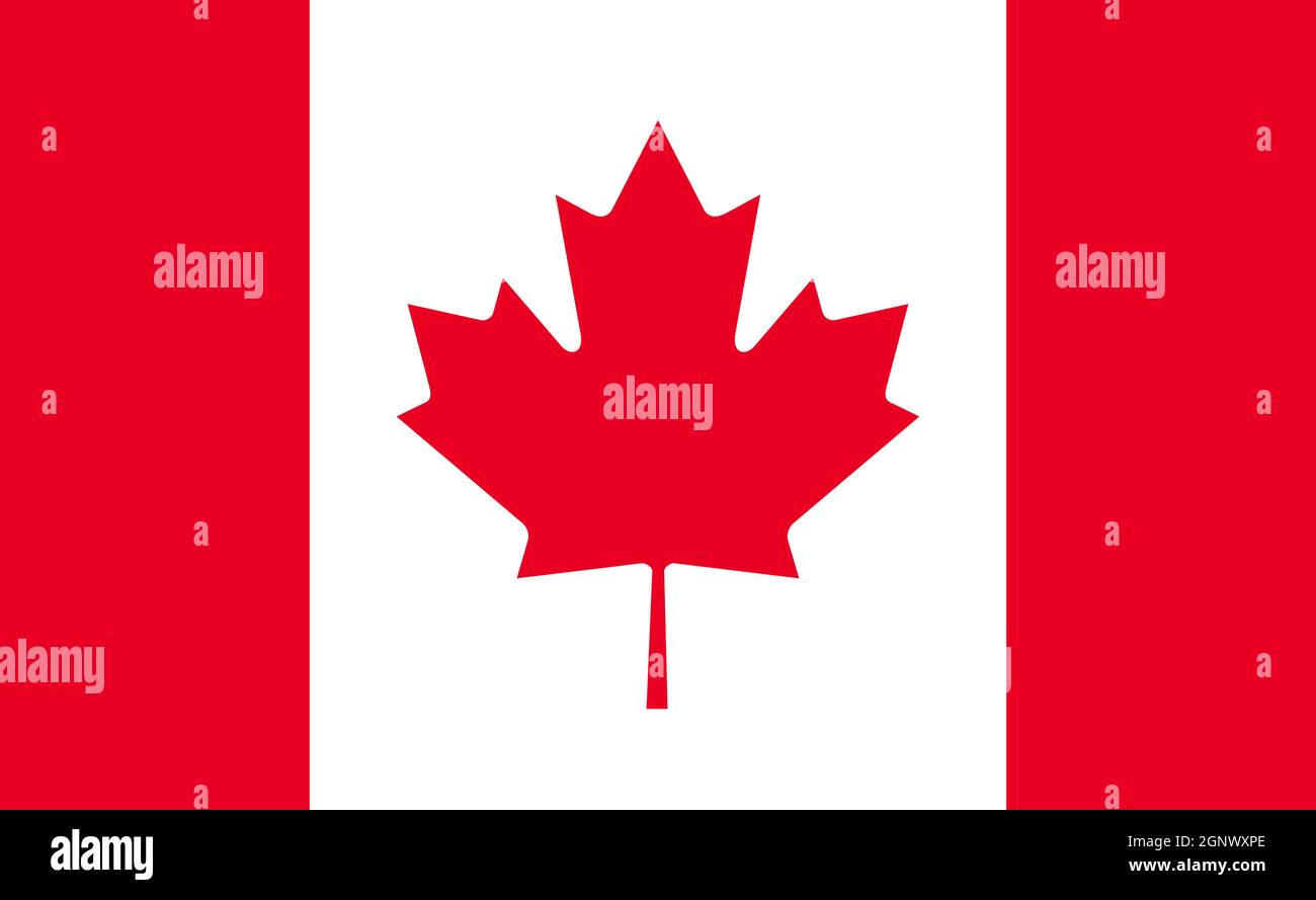 Canada national flag in exact proportions - Vector illustration Stock ...