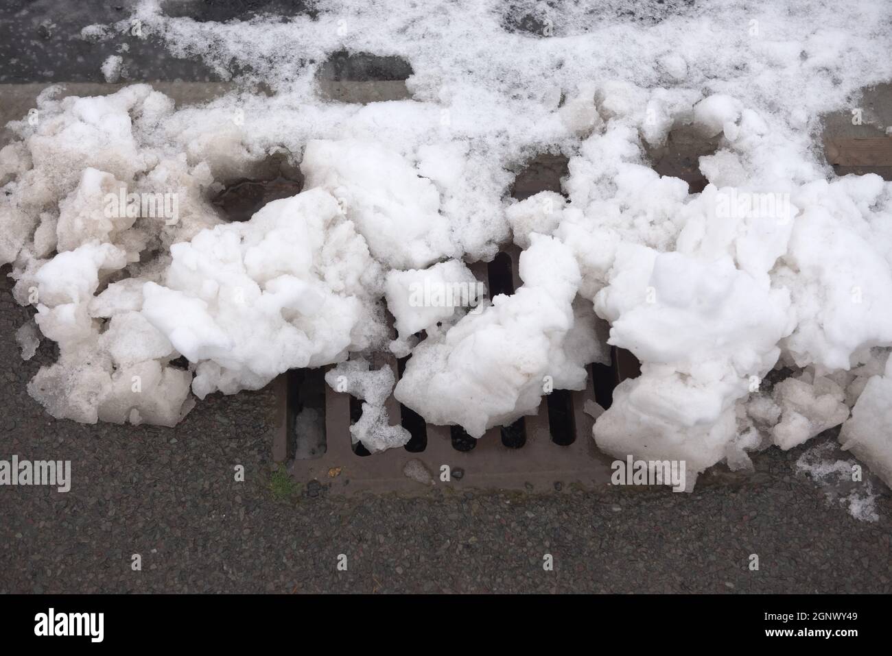 11 - Close up of a kerbside storm drain nearly blocked by snow. Urban ...