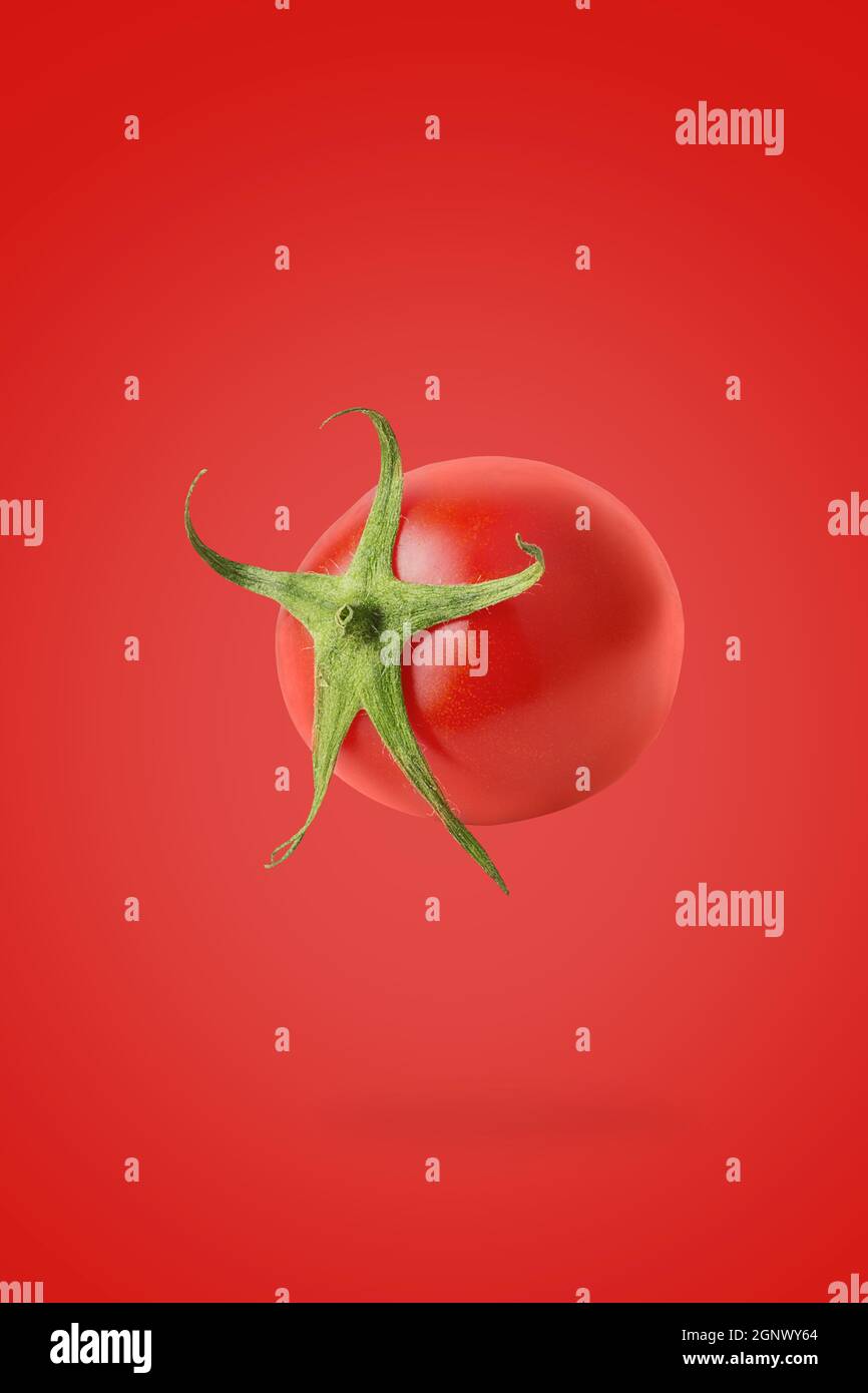 Minimal vegetables concept. One whole tomato on bright red background ...