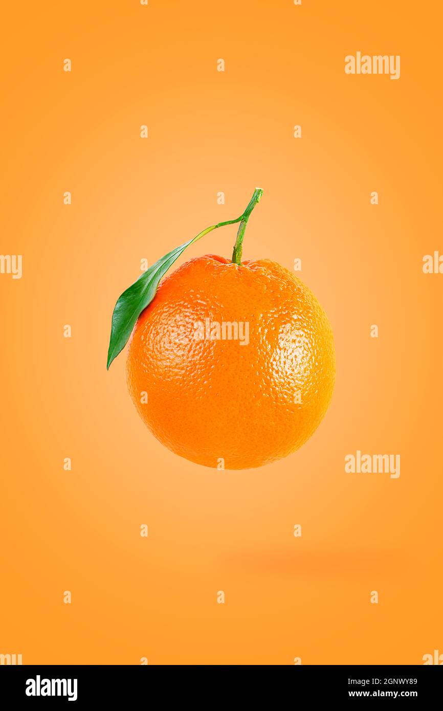 Minimal fruit concept. One whole orange fruit on bright yellow ...
