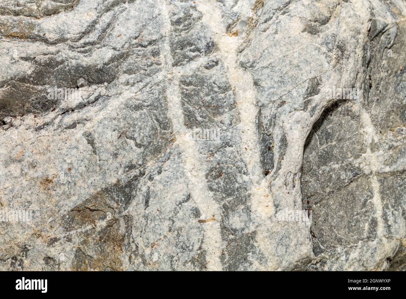 detail of a colorful sea stone, ideal for backgrounds and textures ...