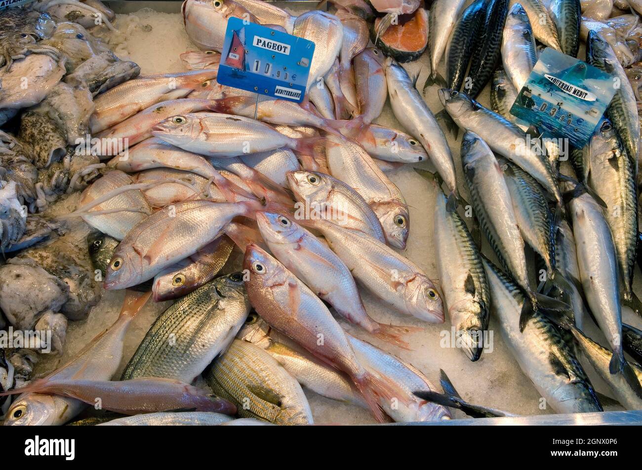 Fresh seafood at Sanary sur Mer fish market, South of France, Credit ...