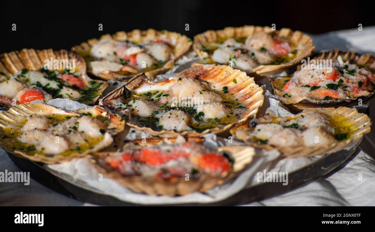 Macro Detail of a Plate full of Scallops ready to be cooked Stock Photo ...