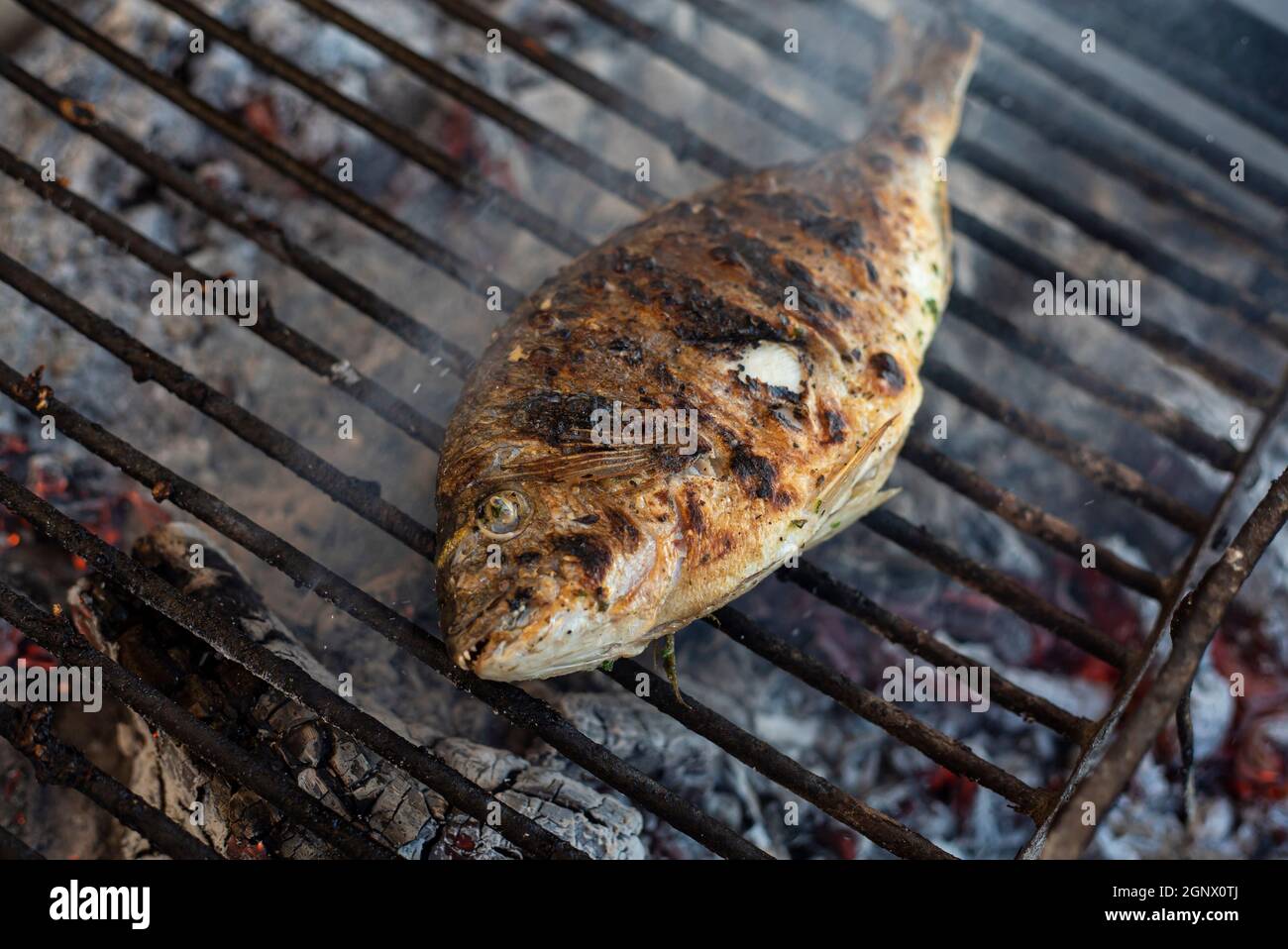 Baked red sea bream hi-res stock photography and images - Alamy