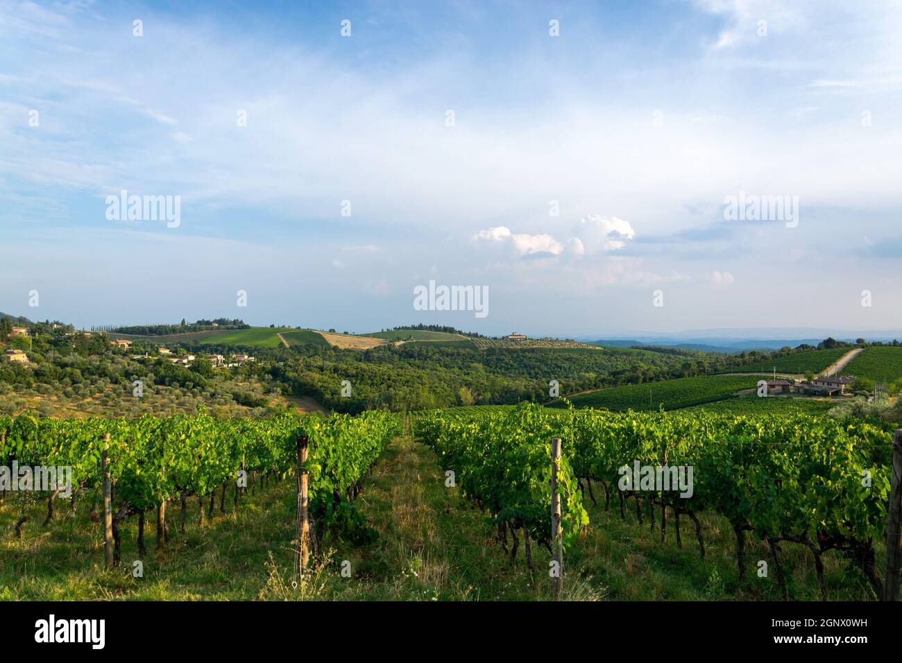 Tuscany is a region in central Italy and is known for its landscapes ...