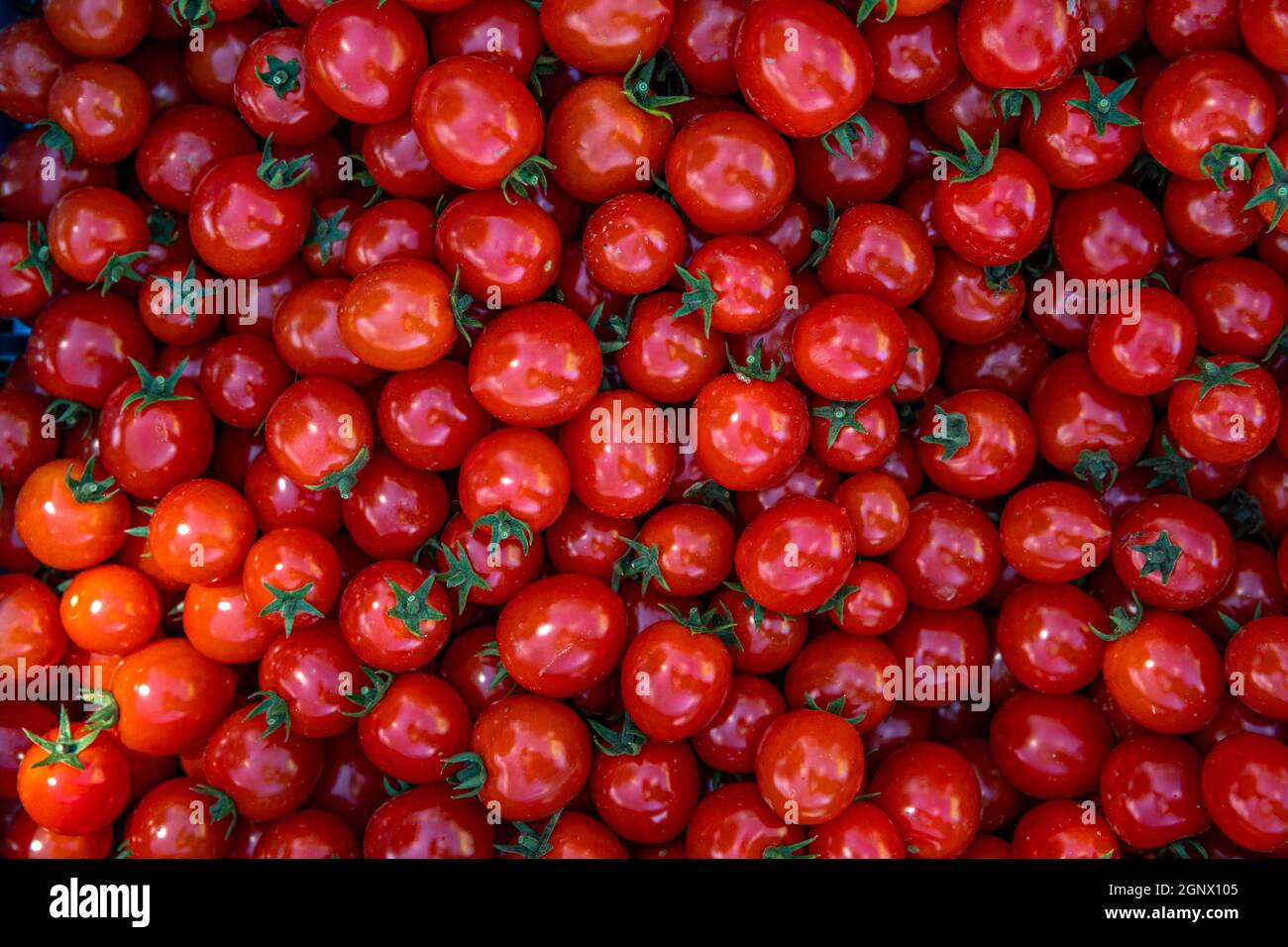 background from red ripe tomatoes grown without chemistry Stock Photo ...