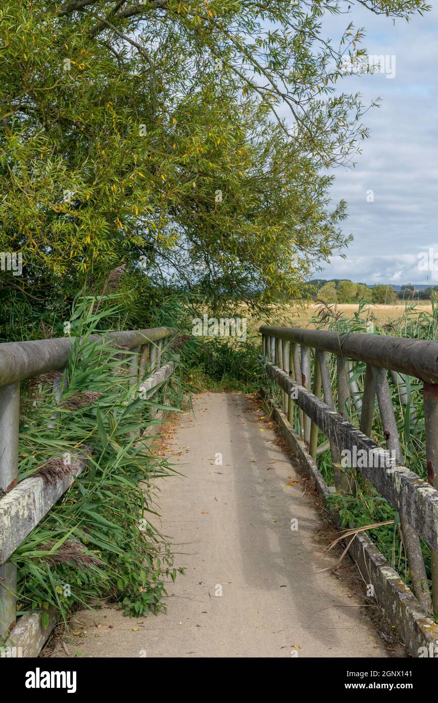 Walking the bridge in countryside, South Downs, UK Stock Photo - Alamy
