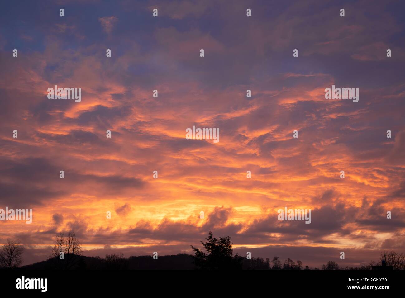Evening sky with pastel-colored clouds Stock Photo - Alamy