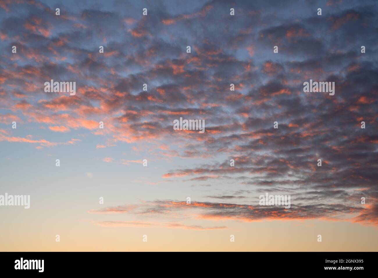 Evening sky with pastel-colored clouds Stock Photo - Alamy