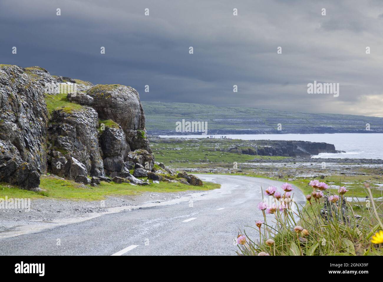 coastal road with a glimpse of Irish nature Stock Photo - Alamy