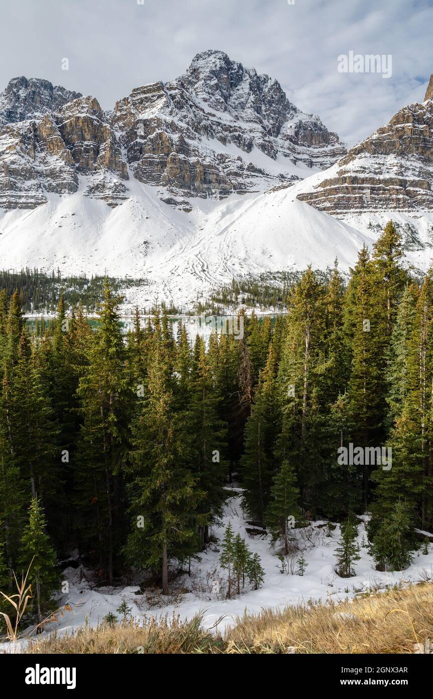 Panoramic scence of Crowfoot glacier in winter season along Columbia ...