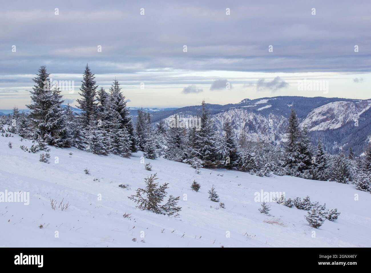 Winter landscape - Rax Mountain in the Austrian Alps, Lower Austria ...