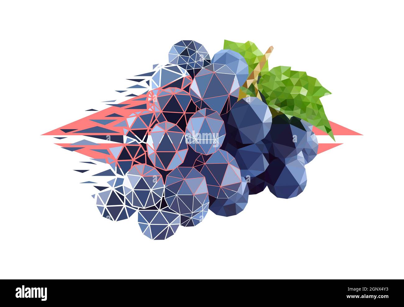 Vector illustration in graphic style Stock Photo - Alamy