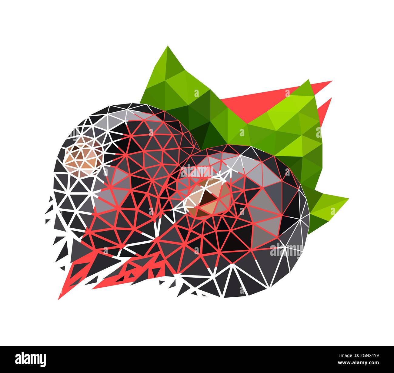 Vector illustration in graphic style Stock Photo - Alamy