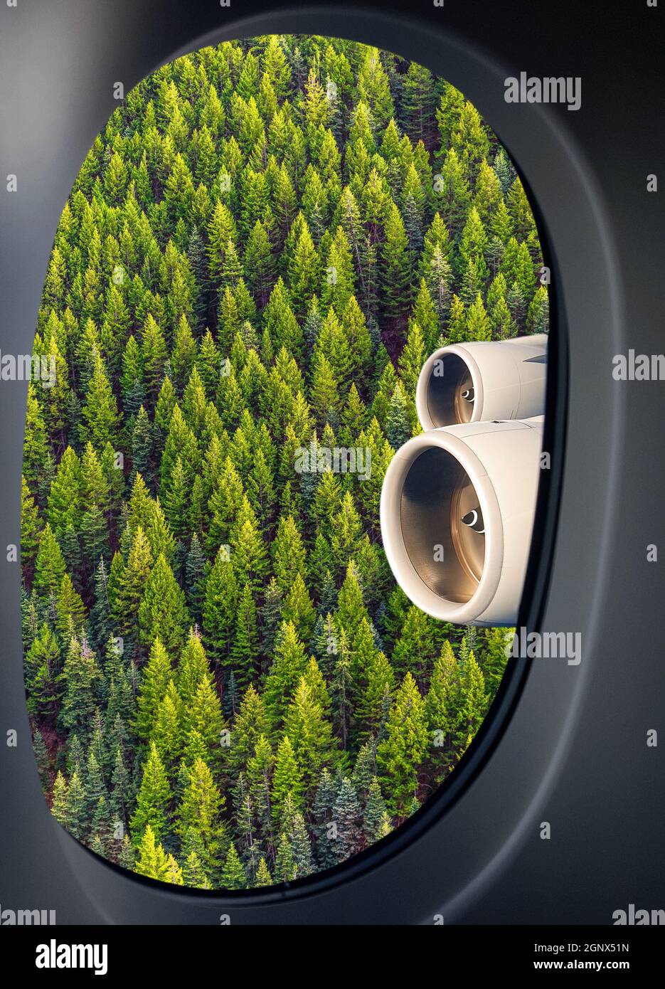 Aerial view flying through trees hi-res stock photography and images ...
