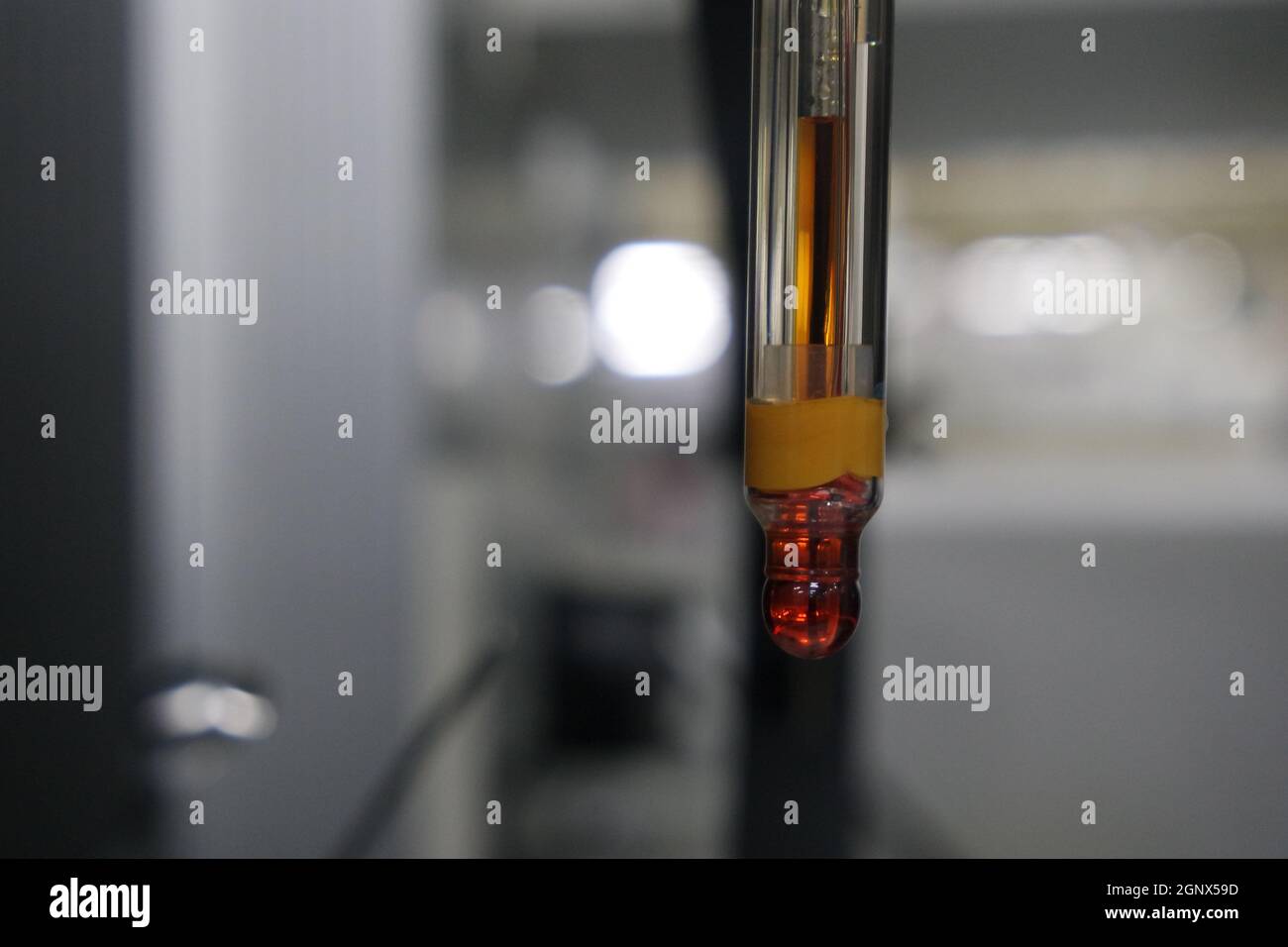 Close-up view of pH meter, a device for measuring pH with equipment for ...