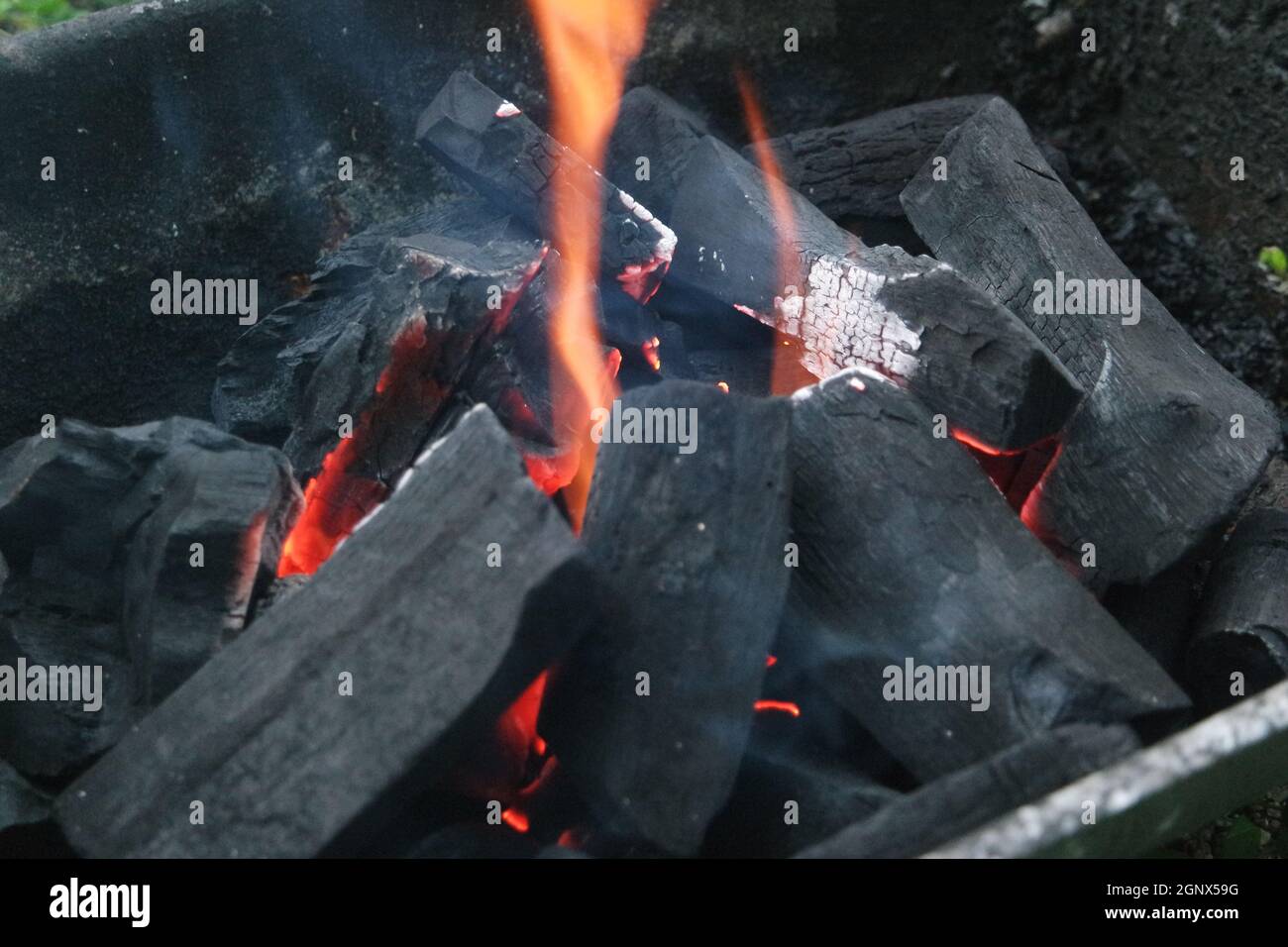 Fire on logs in fire pot with embers and burning coal. Bonfire with ...