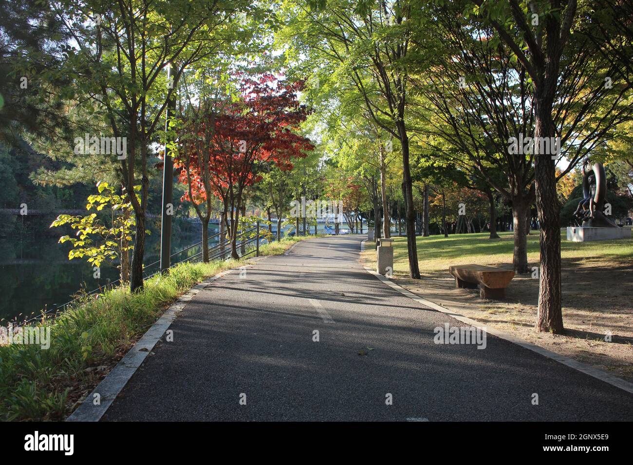 Paved pedestrian way or walk way with trees on sides for public walk ...