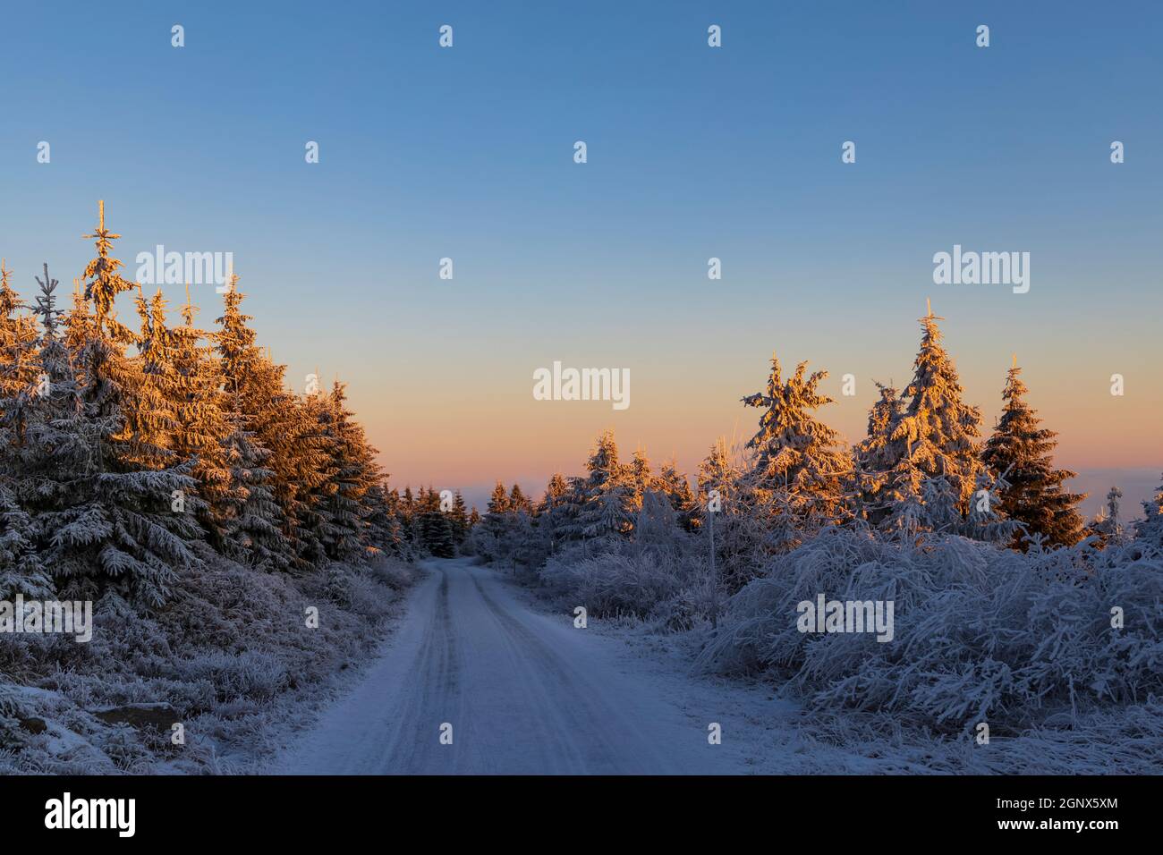 Sunrise in winter landscape near Velka Destna, Orlicke mountains ...