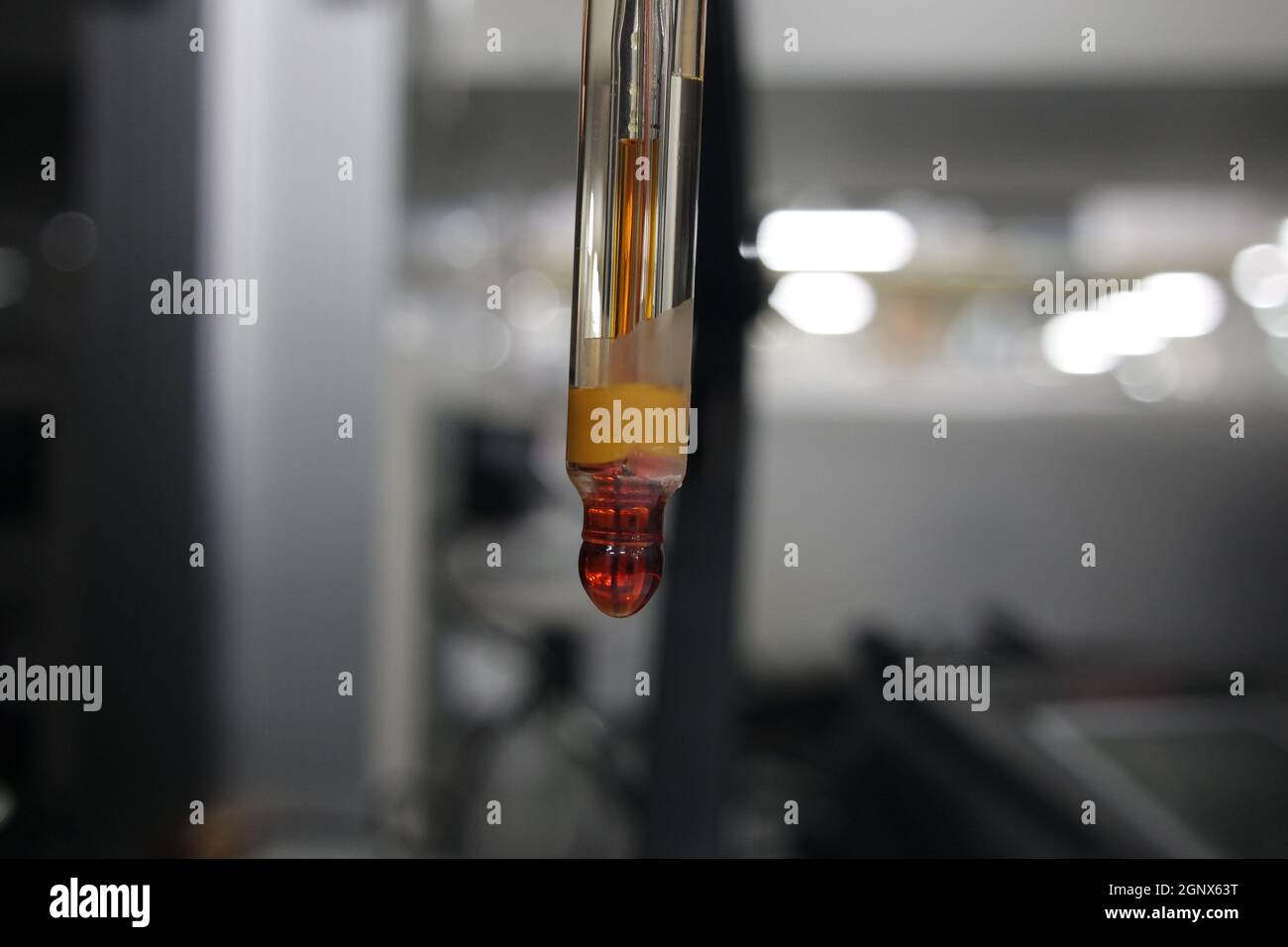 Close-up view of pH meter, a device for measuring pH with equipment for ...