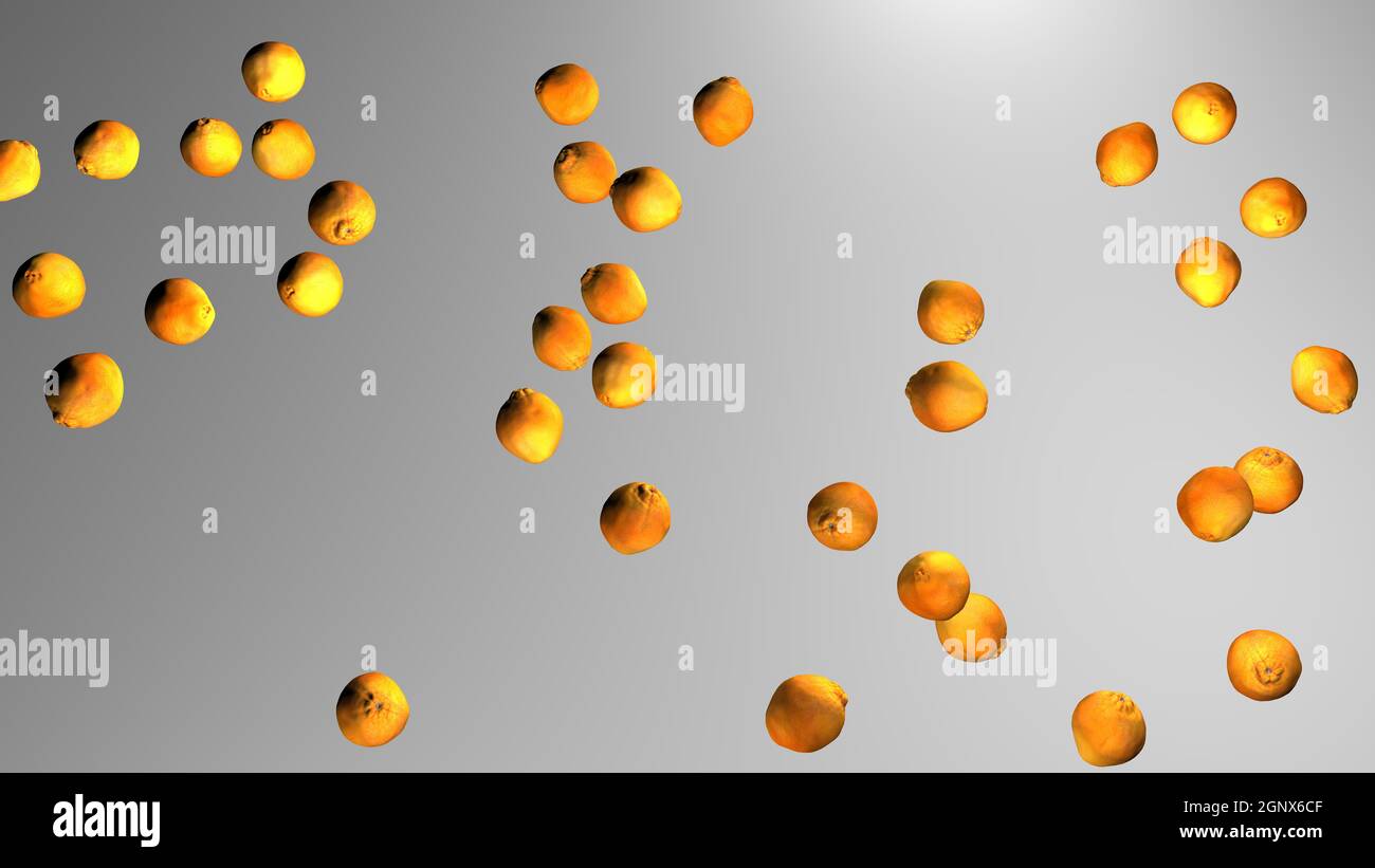 Closeup view of fresh oranges isolated on white background. Background ...